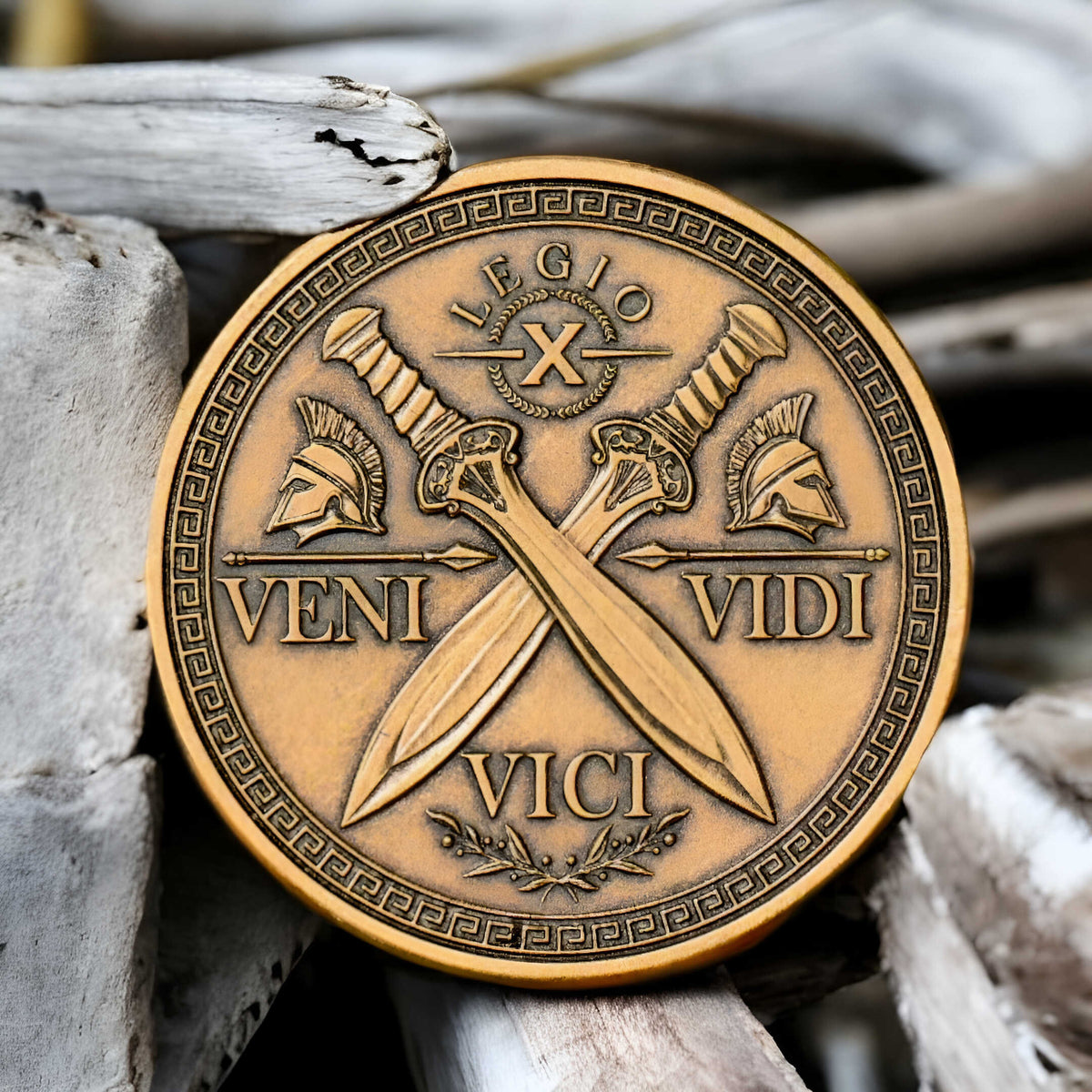 Veni Vidi Vici Coin – EDC Reminder Coins