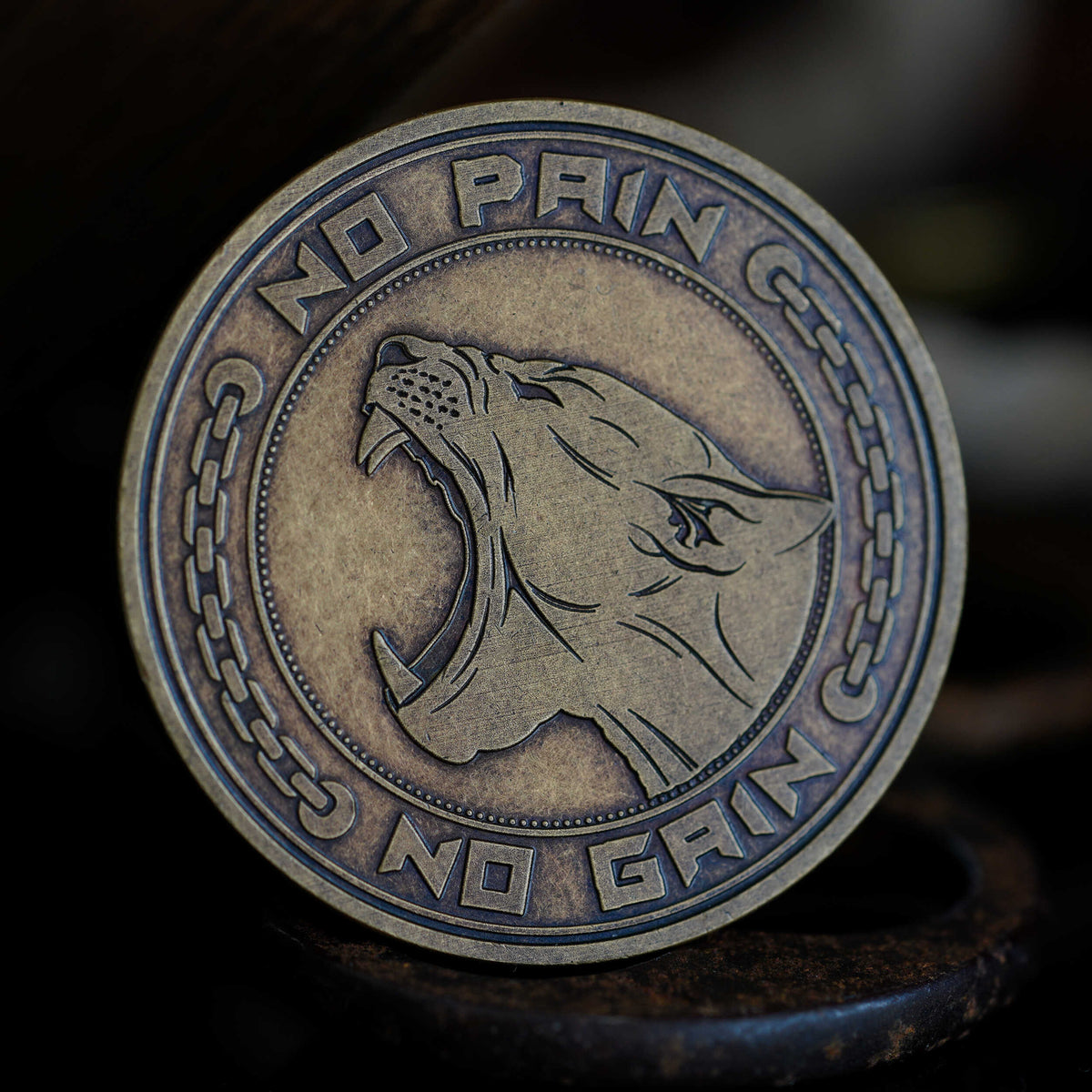 No Pain No Gain Coin – EDC Reminder Coins