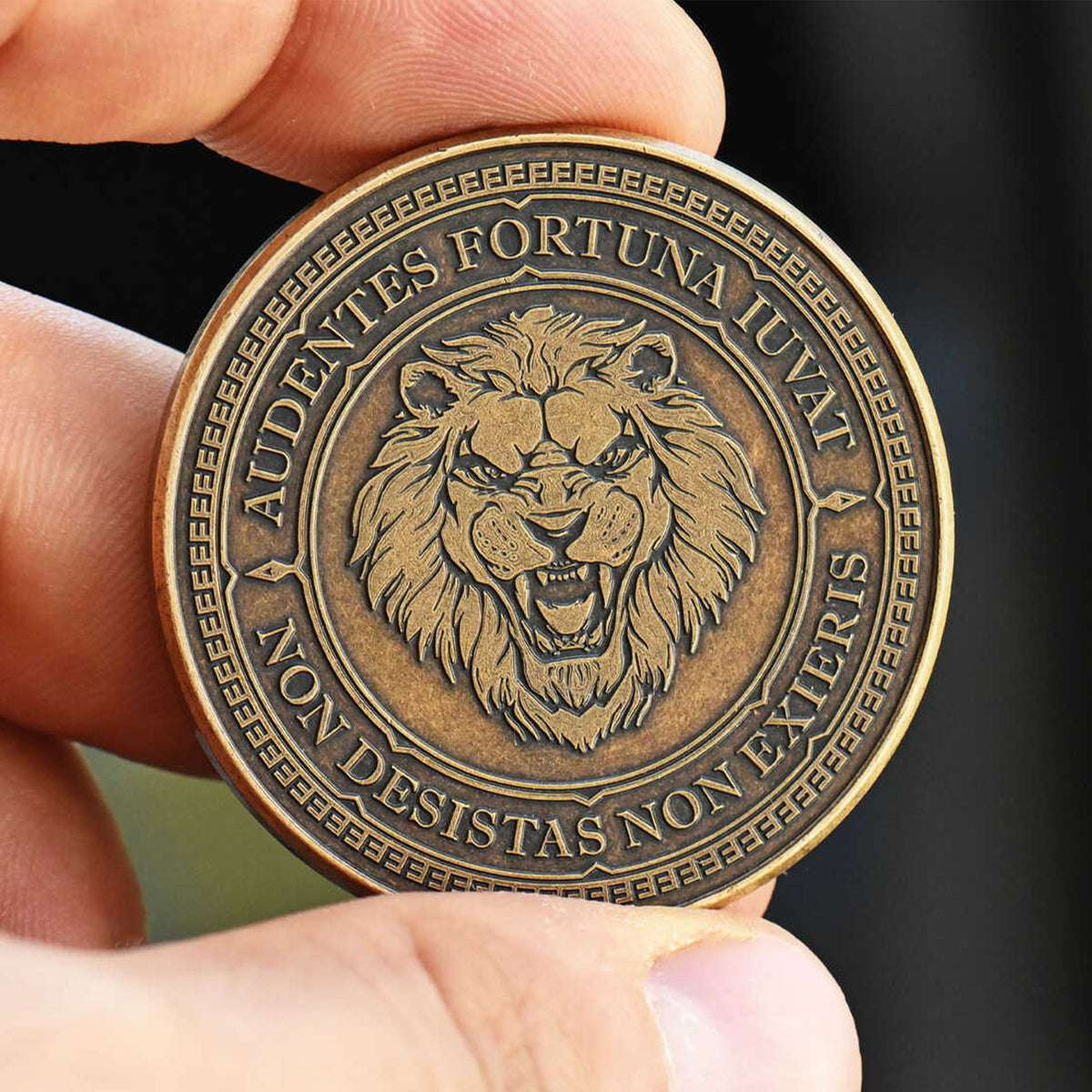 Audentes Fortuna Iuvat Coin – EDC Reminder Coins